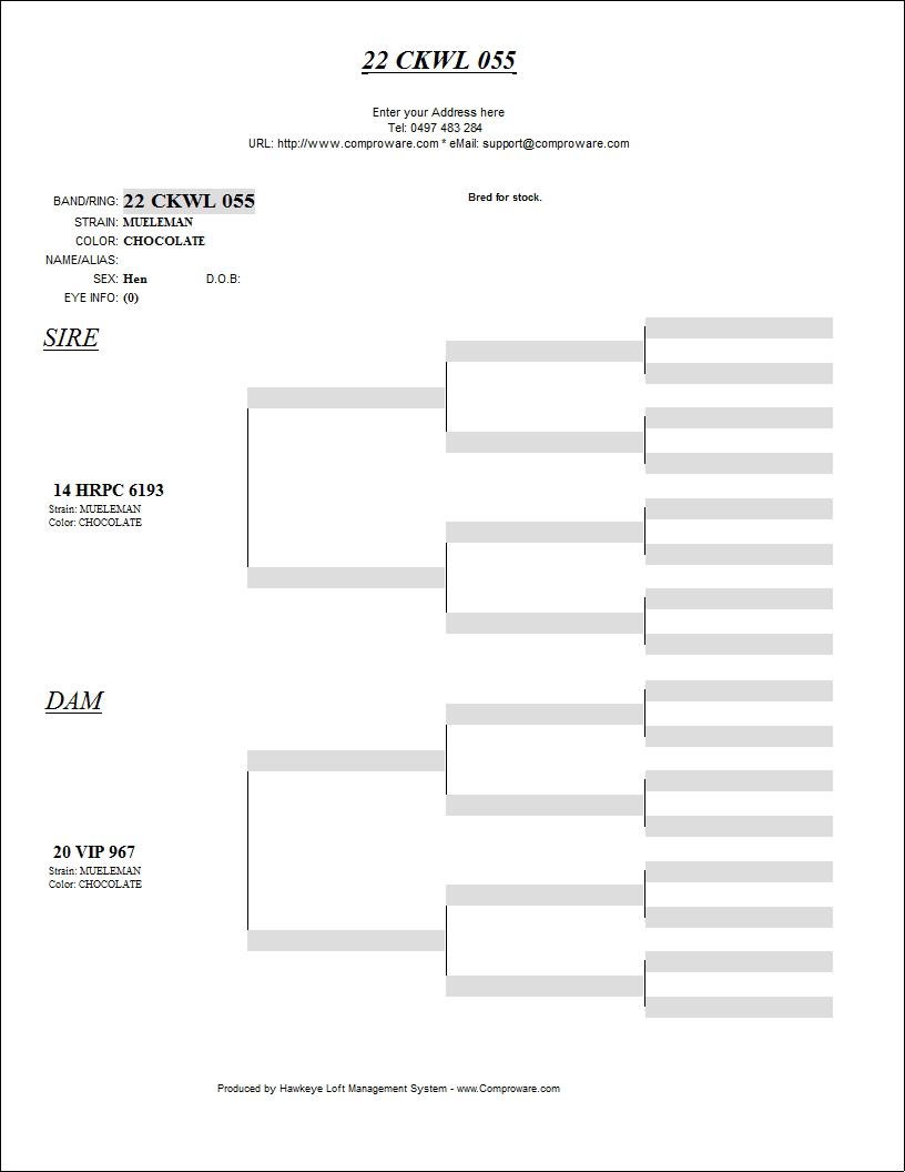 Lot 2 CKWL 22 055 Chocolate Hen Meulemans