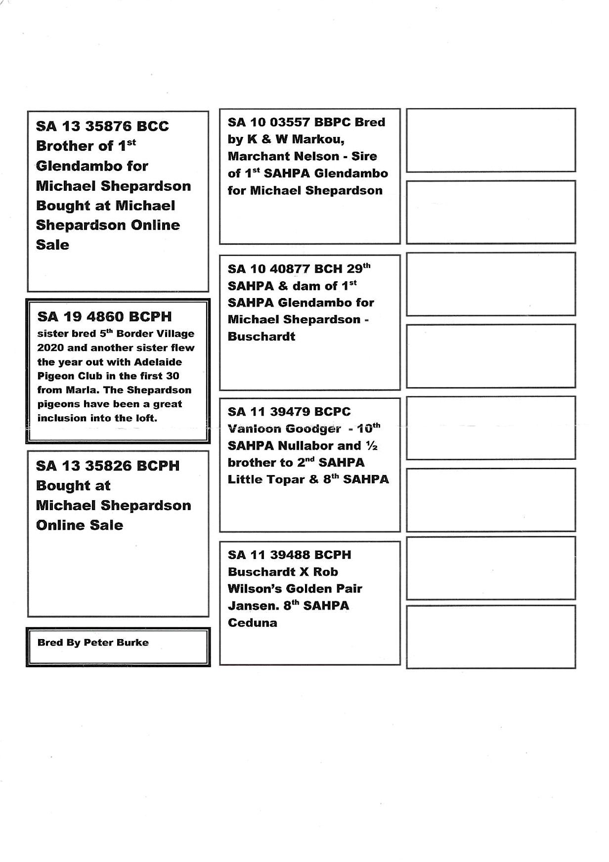 Lot 1 SA 19 4860 BBP Hen Janssen/Busscheart bred by Peter Burke