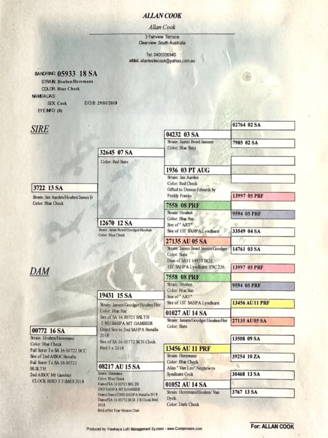 Lot 2 SA 18 5933 BC Cock bred by Allan Cook SA
